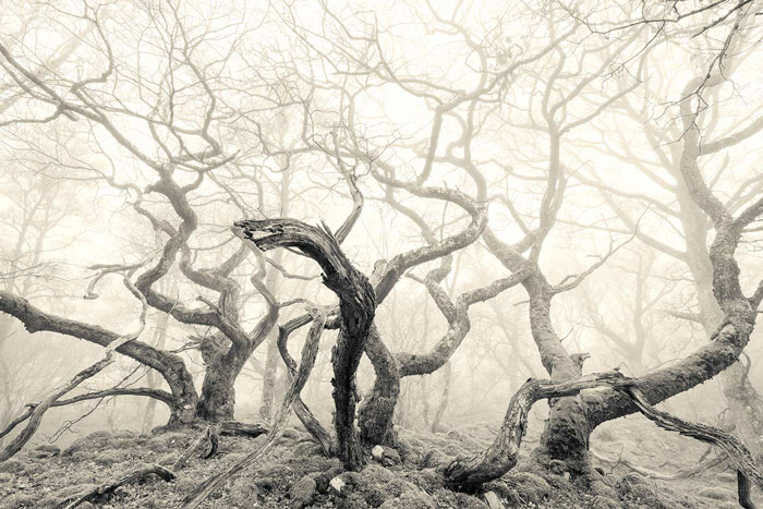 Fortingall Art Summer Exhibition 2024